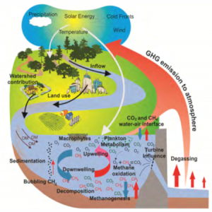 Hydroelectricity: environmental and societal impacts - Encyclopédie de ...